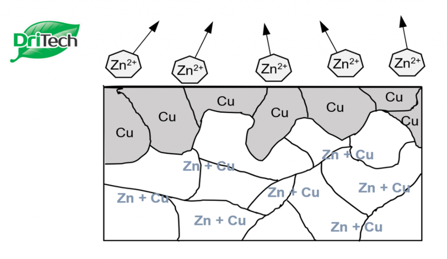 15/12/2022 Metal Corrosion: Selective Leaching, Erosion and Stress ...